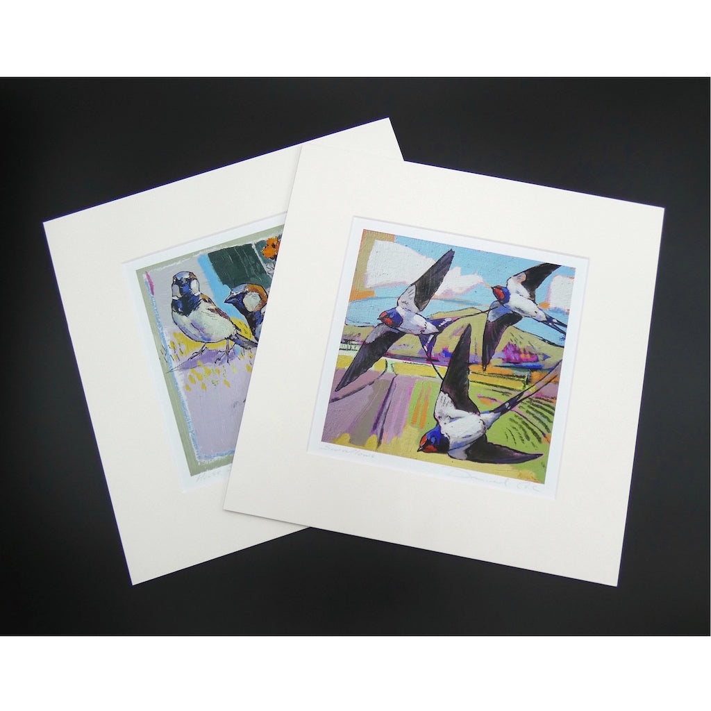 Herons – Mid Cornwall Galleries