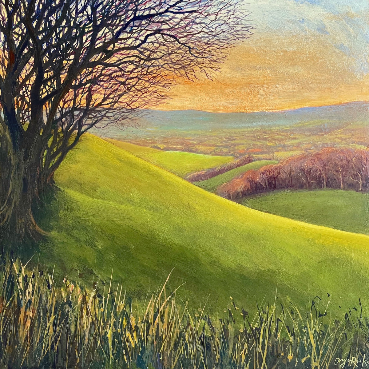 Cold Hill – Mid Cornwall Galleries