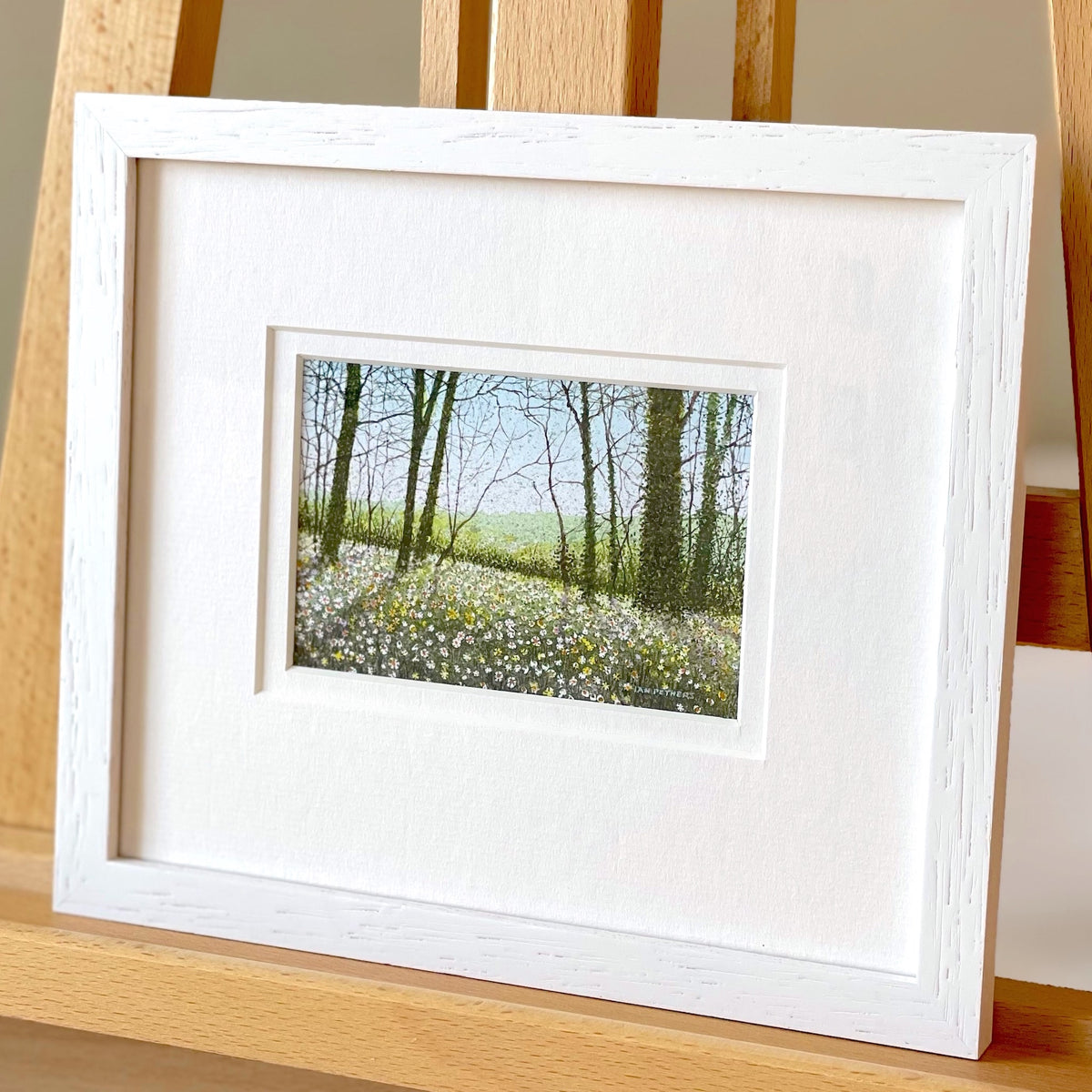 Woodland's Edge – Mid Cornwall Galleries