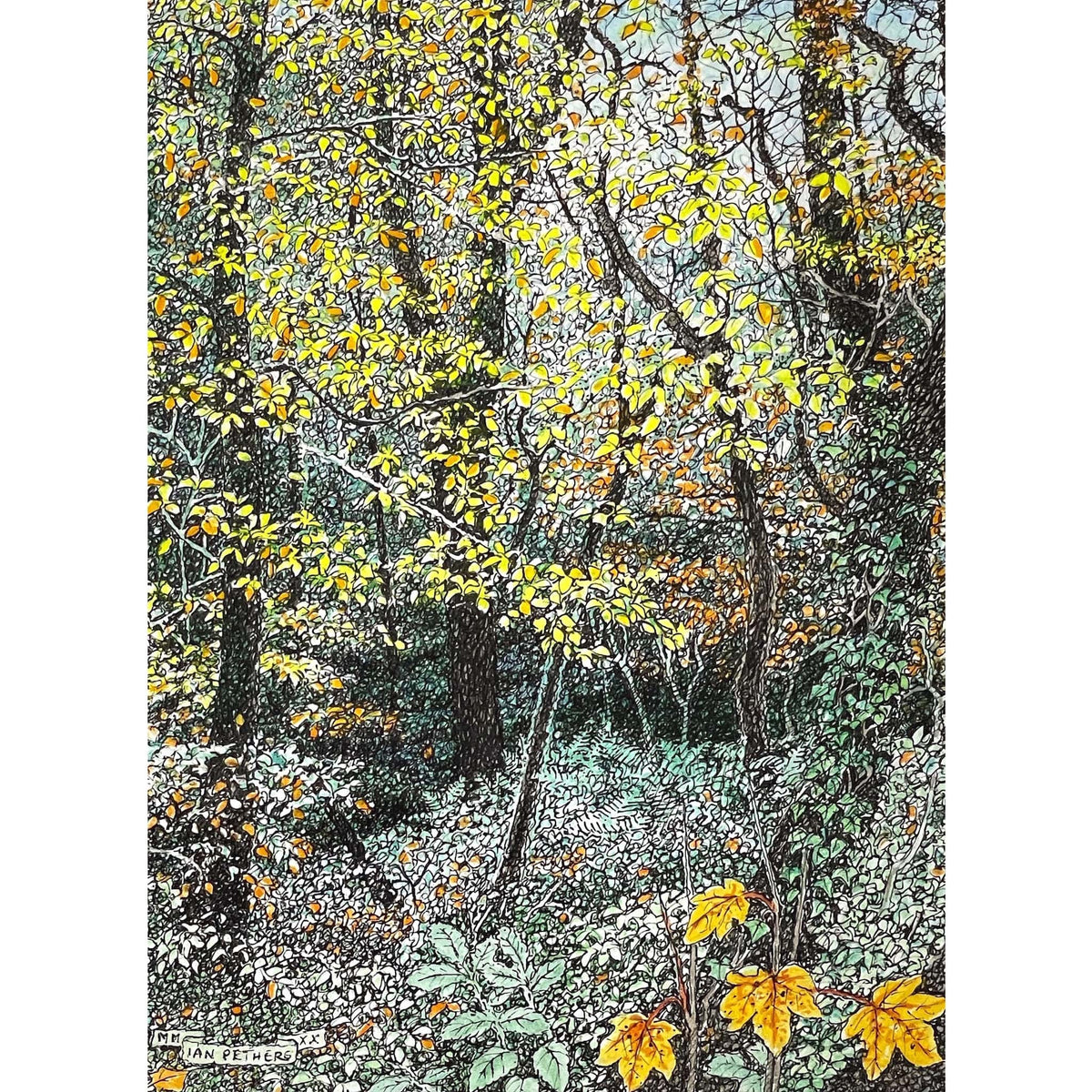 Autumn Forest – Mid Cornwall Galleries