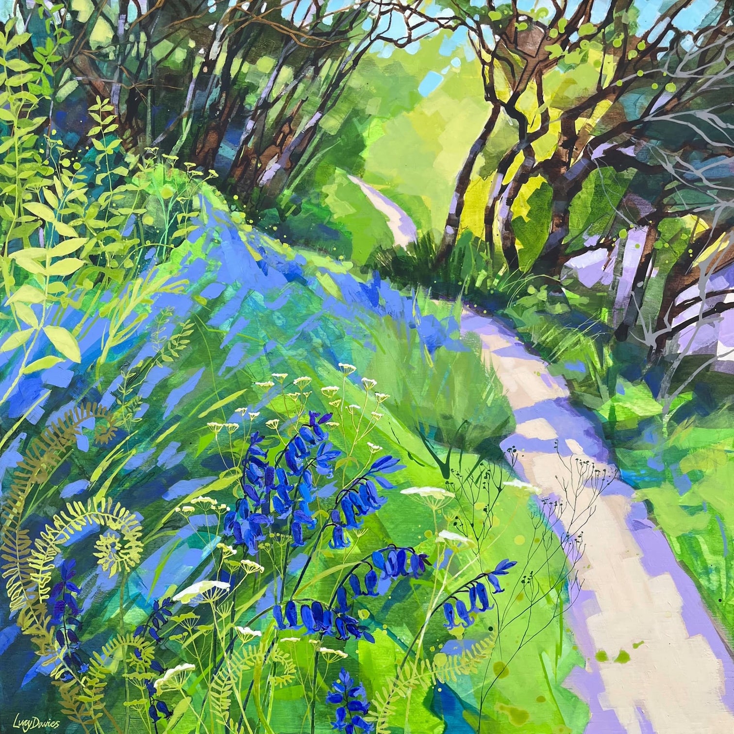 Bluebell Woodland – Mid Cornwall Galleries