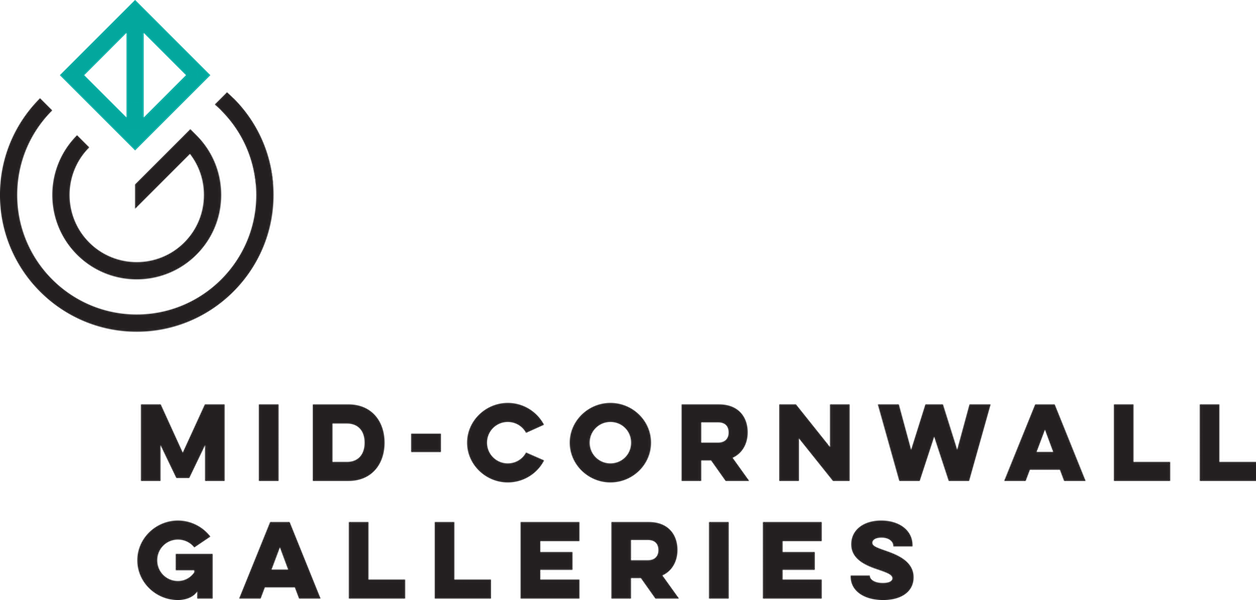 Barn Owl – Mid Cornwall Galleries