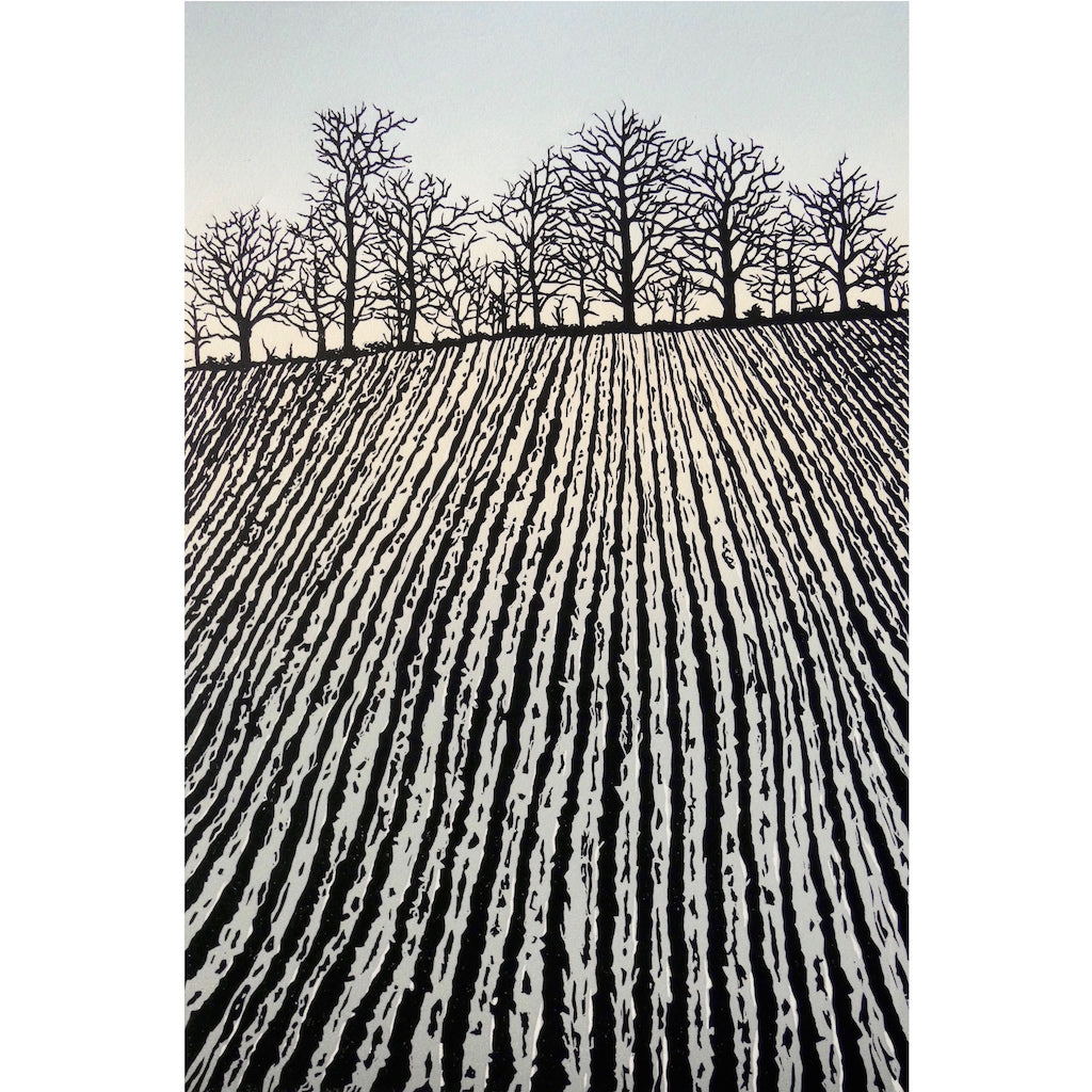 Ploughed Field – Mid Cornwall Galleries